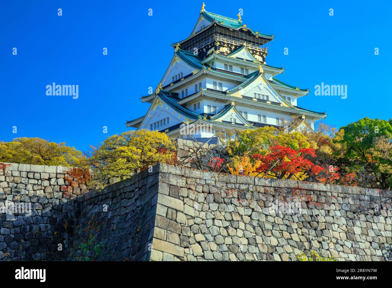 Autumn Color and Osaka Castle Tower Stock Photo - Alamy