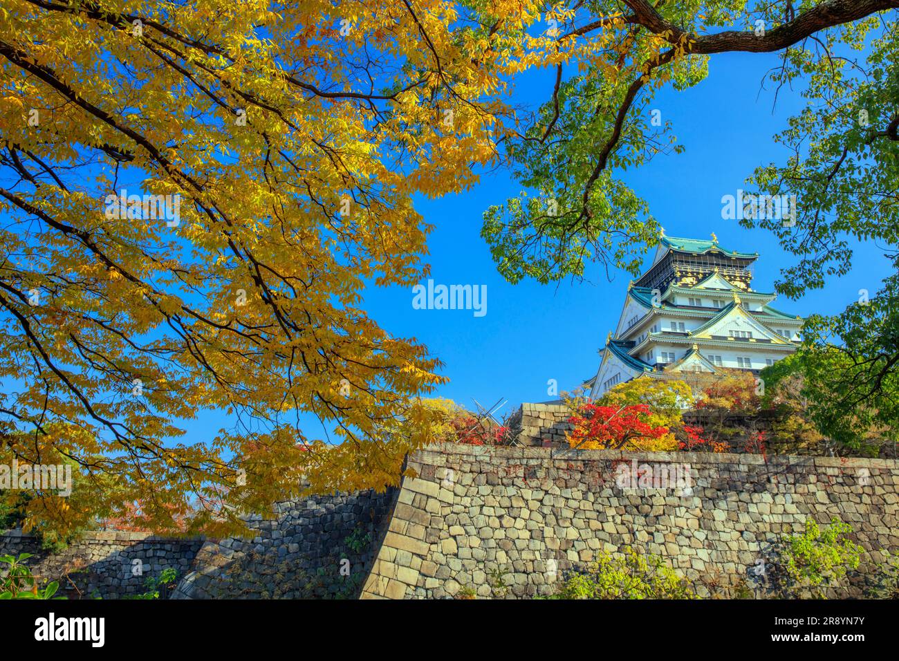 Autumn Color and Osaka Castle Tower Stock Photo - Alamy