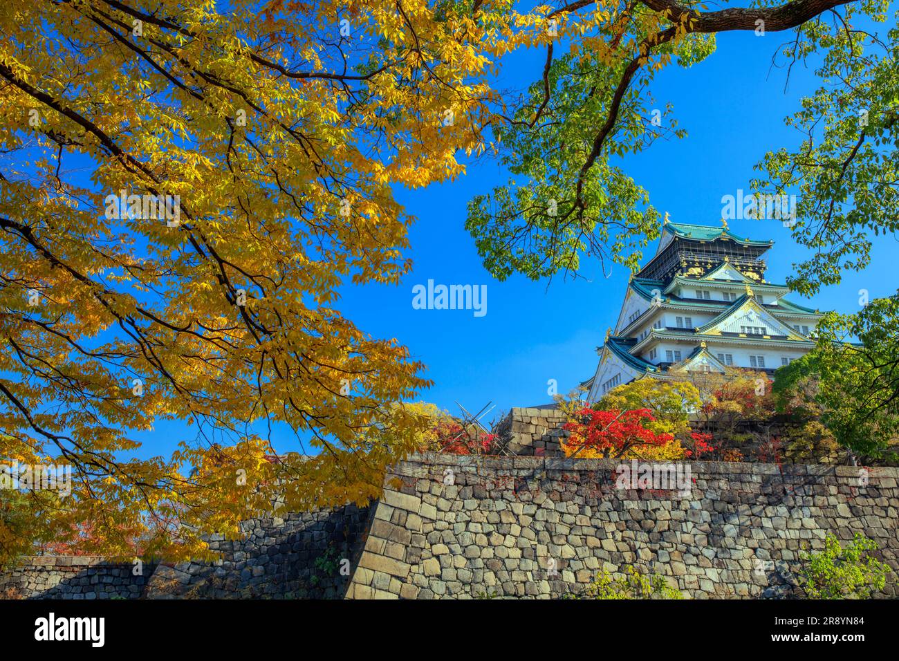 Autumn Color and Osaka Castle Tower Stock Photo - Alamy