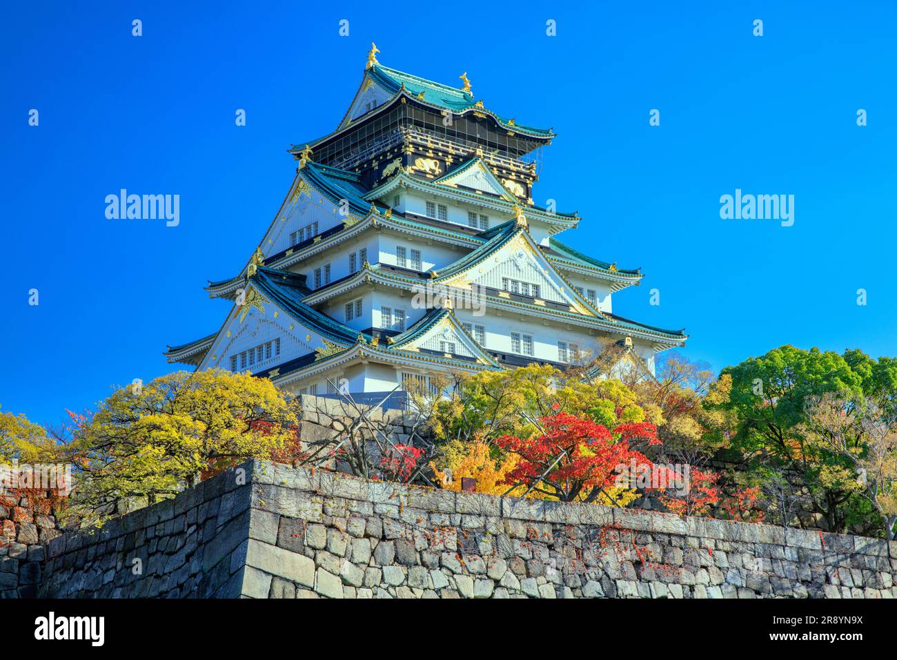Autumn Color and Osaka Castle Tower Stock Photo - Alamy