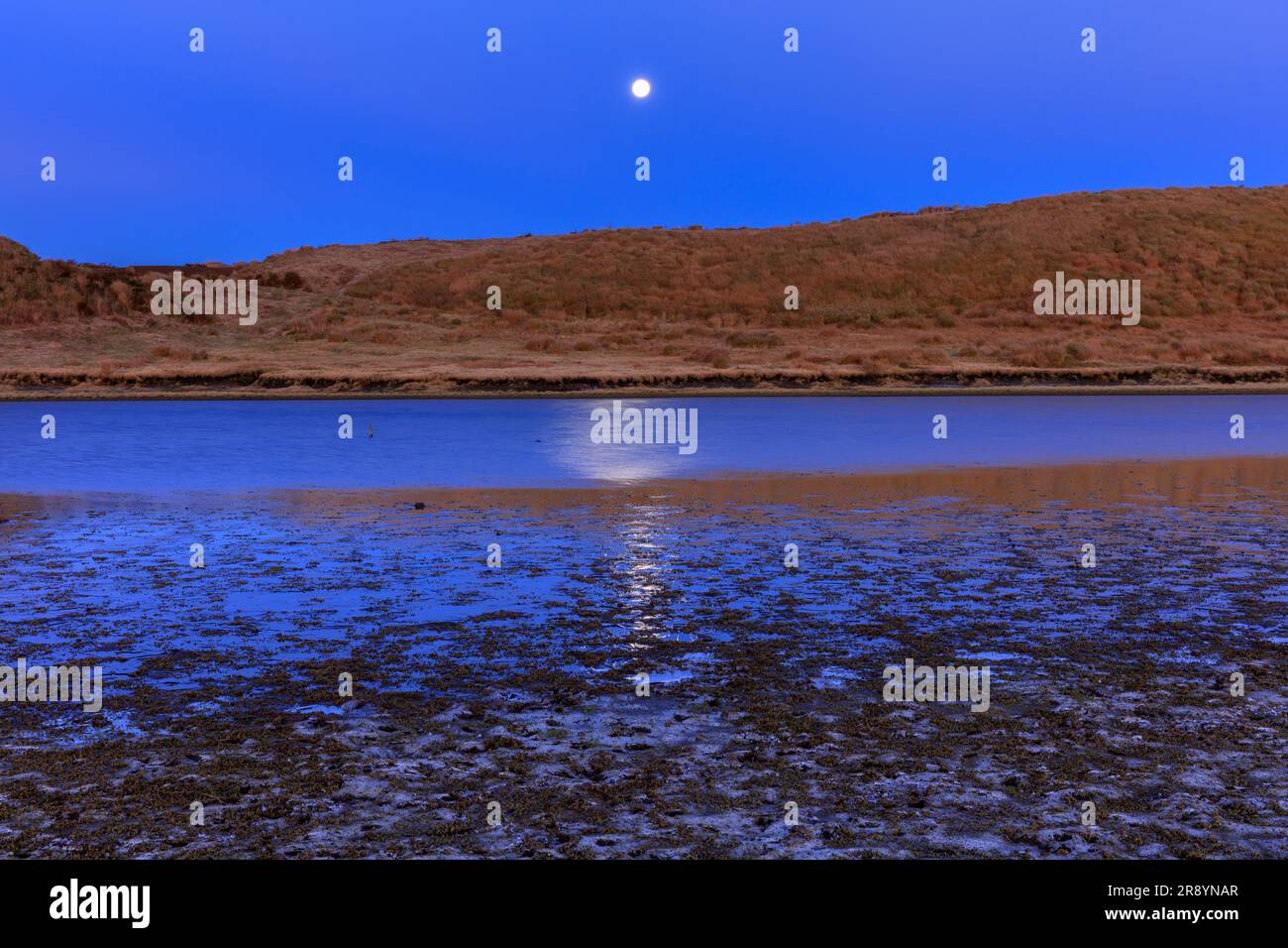 The first full moon of winter hi-res stock photography and images - Alamy