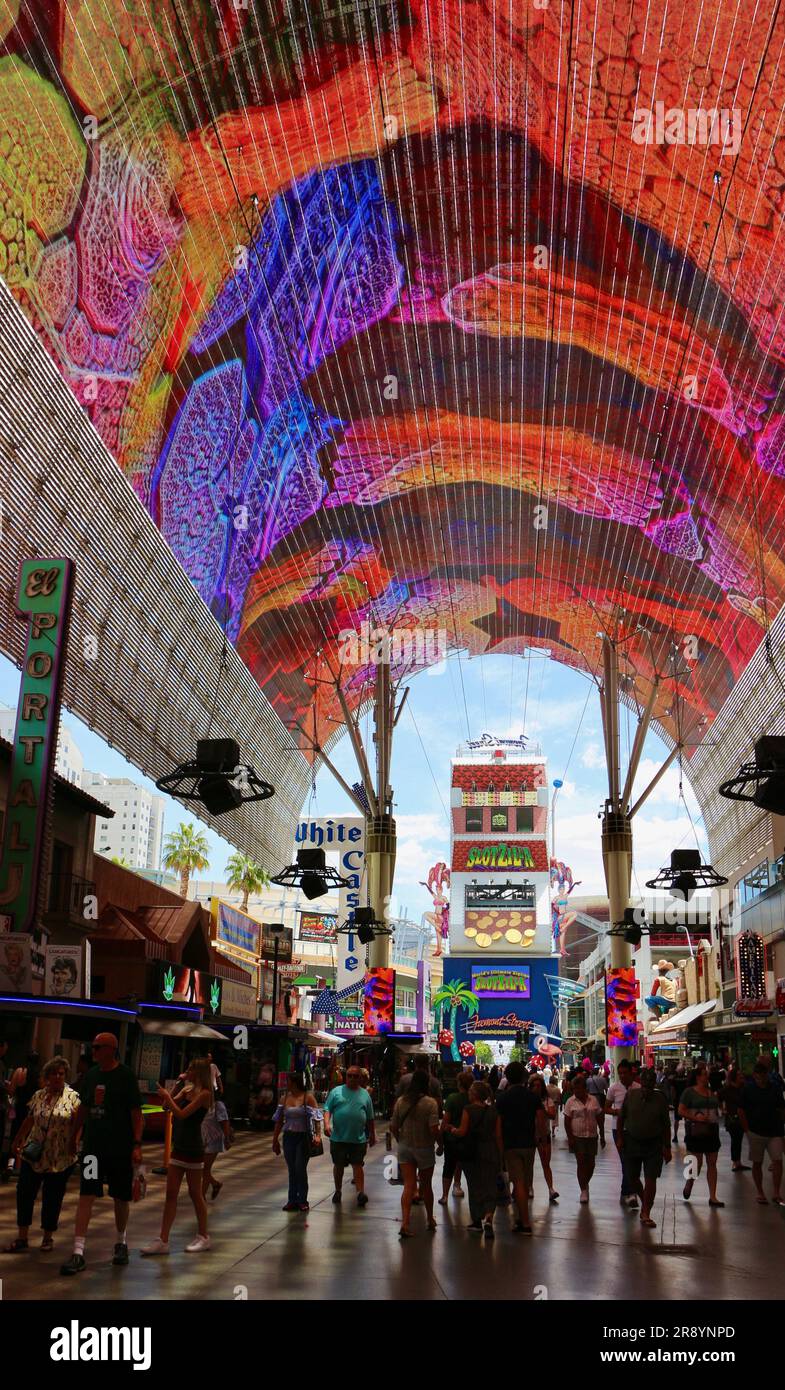 Led canopy hi-res stock photography and images - Alamy