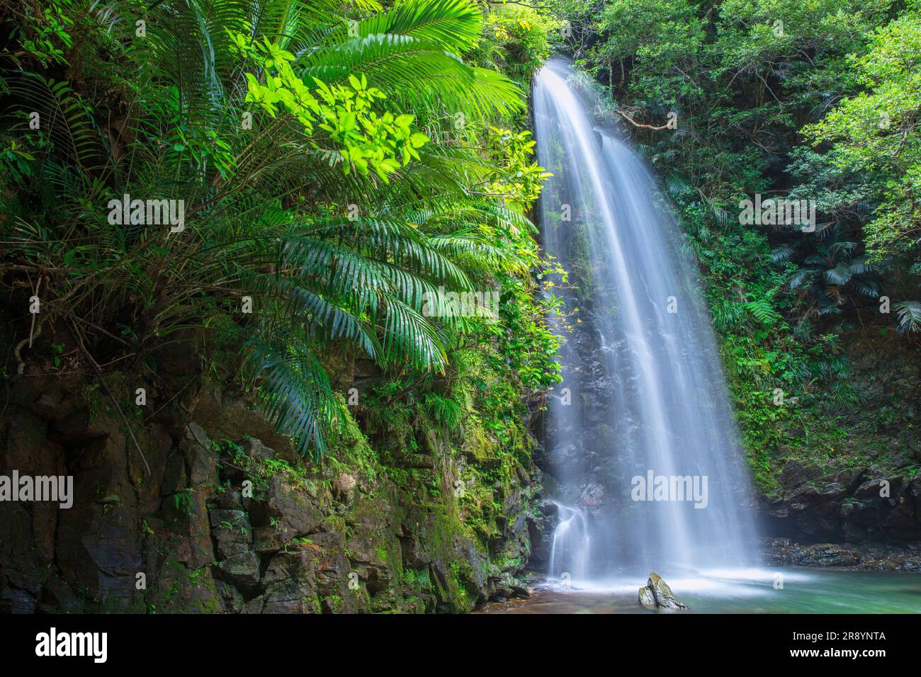 Tar waterfall hi-res stock photography and images - Alamy