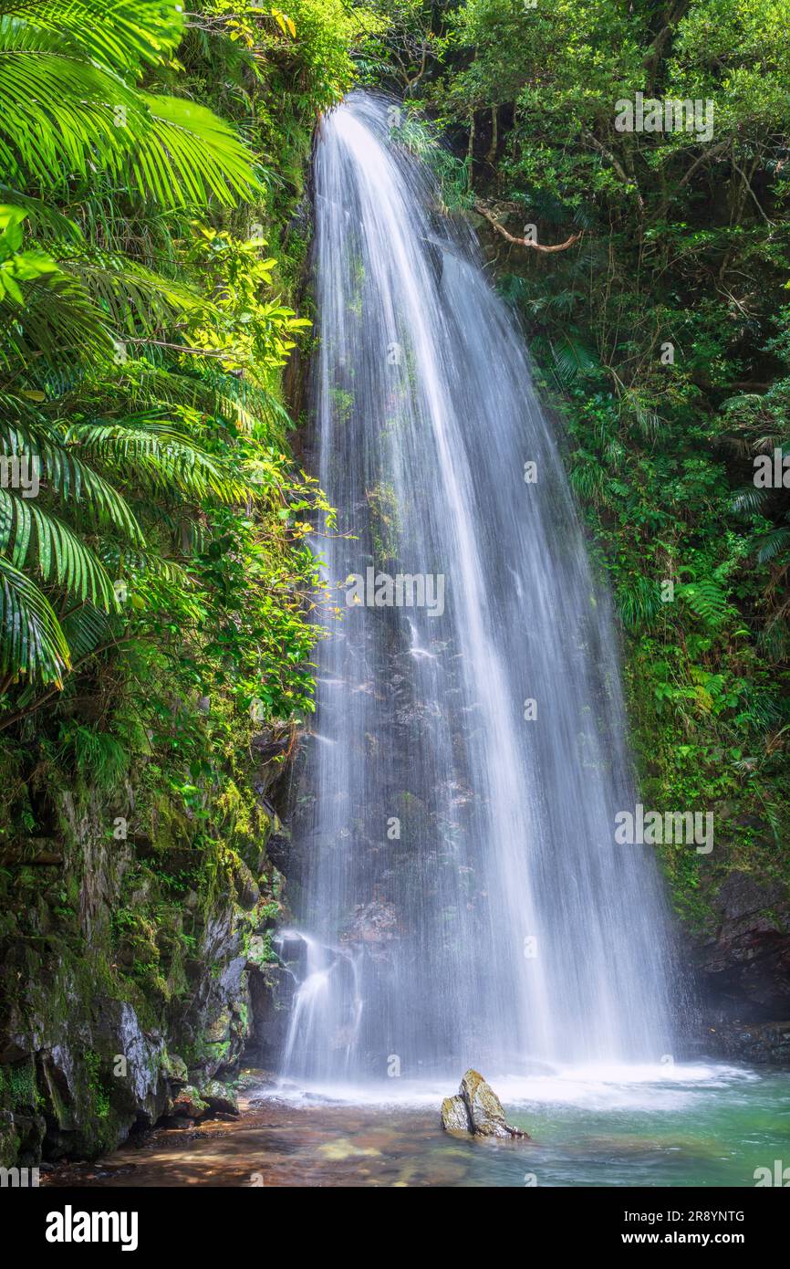 Tar waterfall hi-res stock photography and images - Alamy