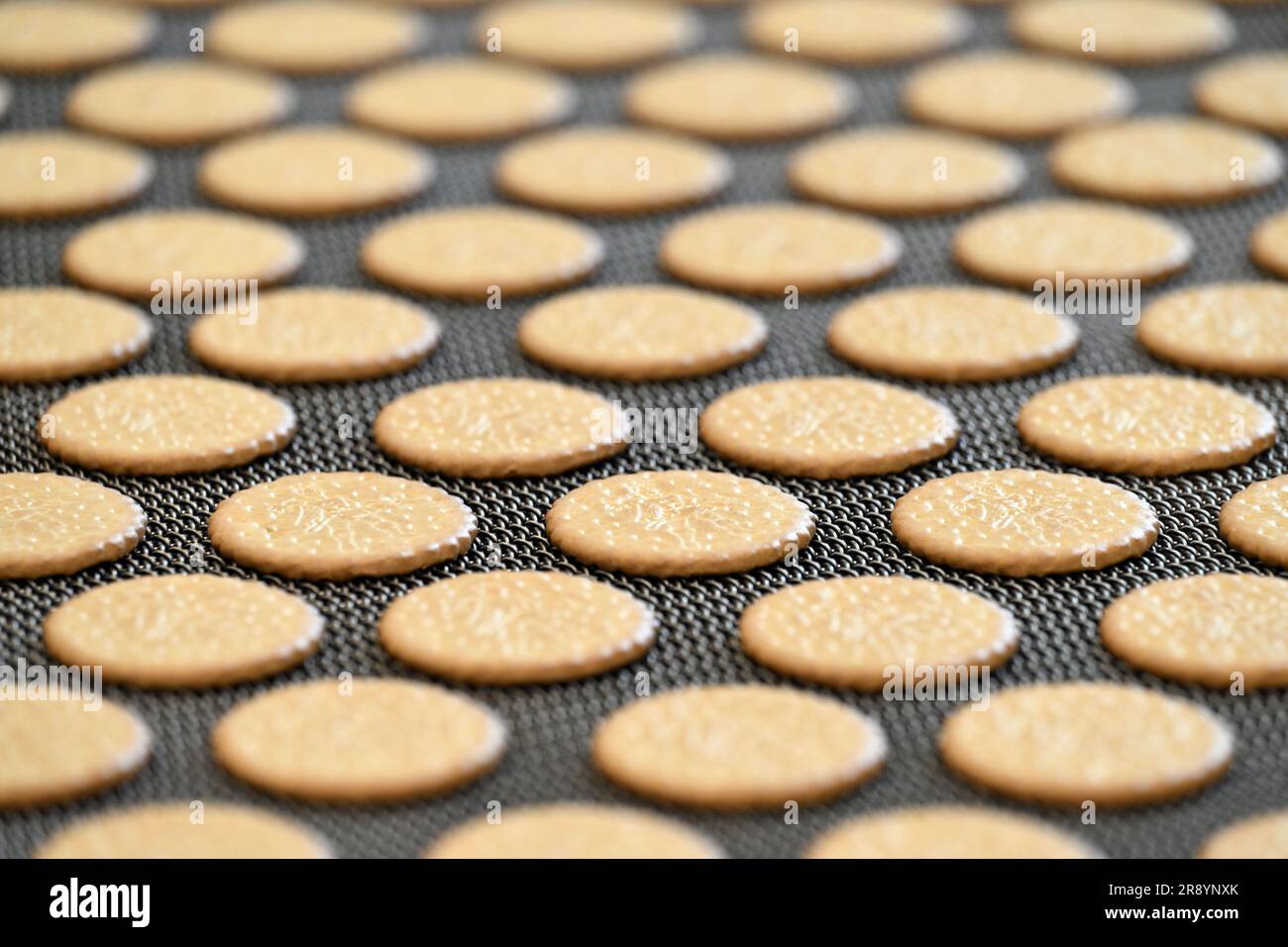 Kahla, Germany. 23rd June, 2023. The cookies for the Prinzen rolls are ...