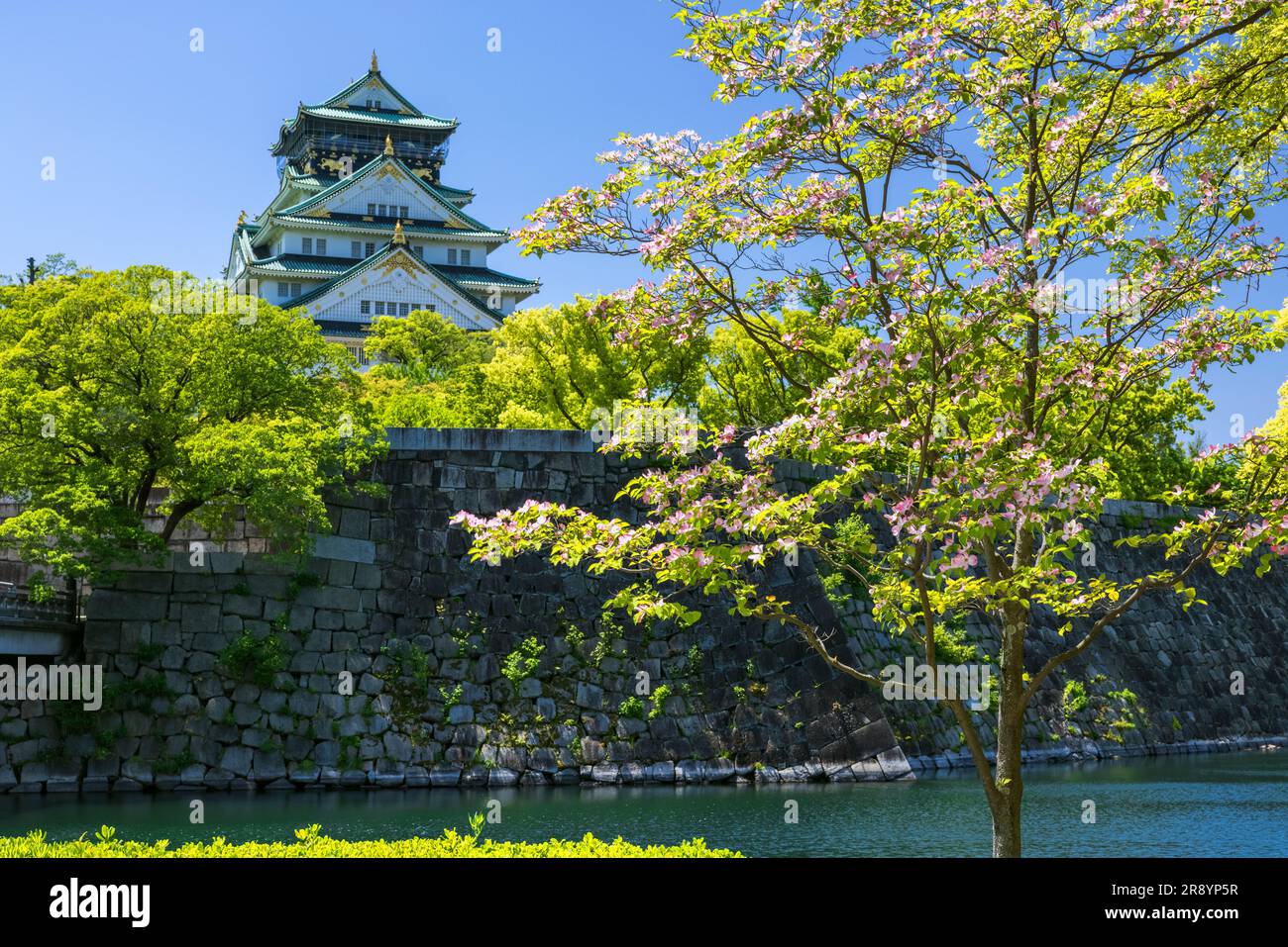 Osaka castle tower hi-res stock photography and images - Alamy