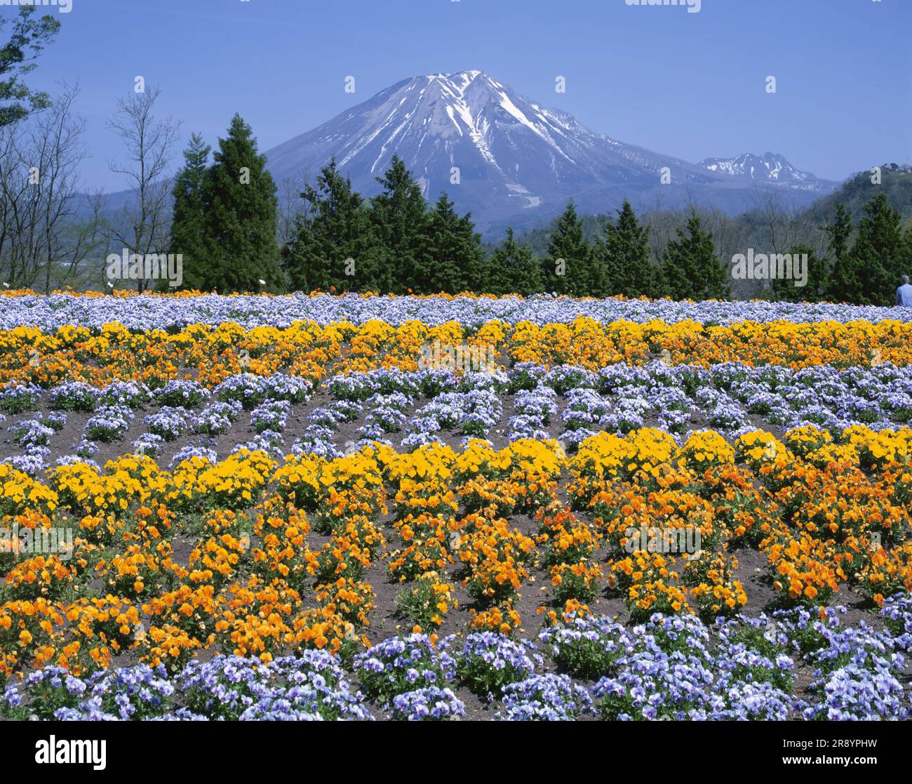 Nanbu town hi-res stock photography and images - Alamy