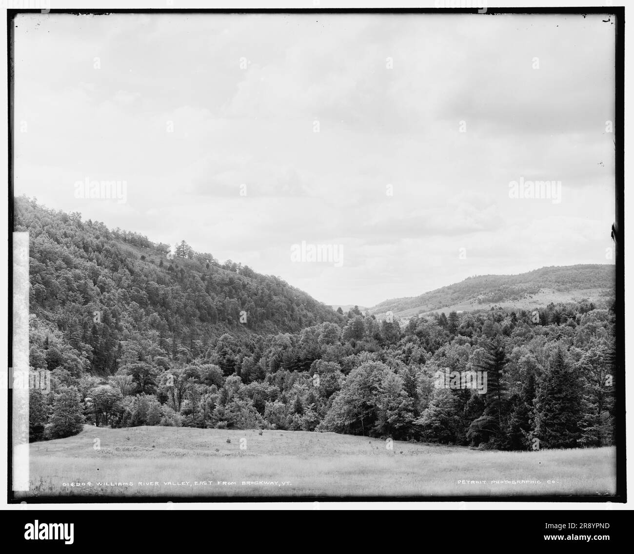 Plants in river valley Black and White Stock Photos & Images - Alamy
