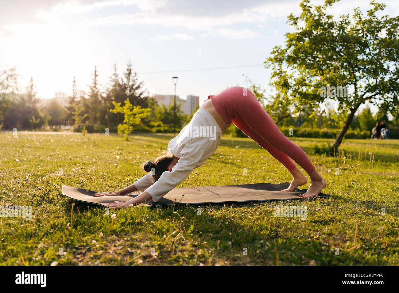 Side view of healthy female yoga practitioner preforming Downward ...