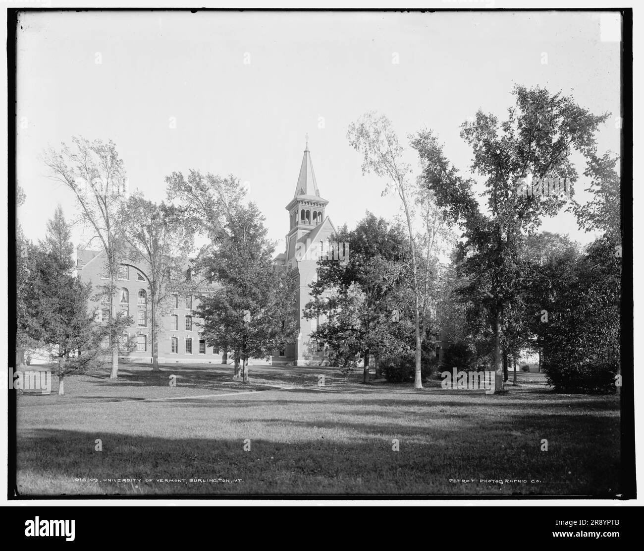 Vermont trees Black and White Stock Photos & Images - Alamy