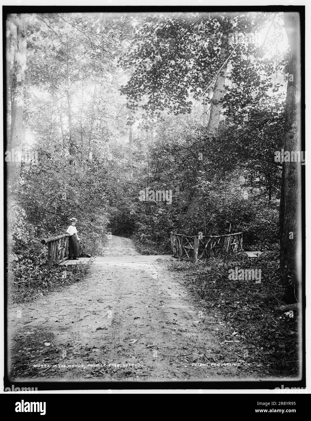 Detroit trees Black and White Stock Photos & Images - Alamy