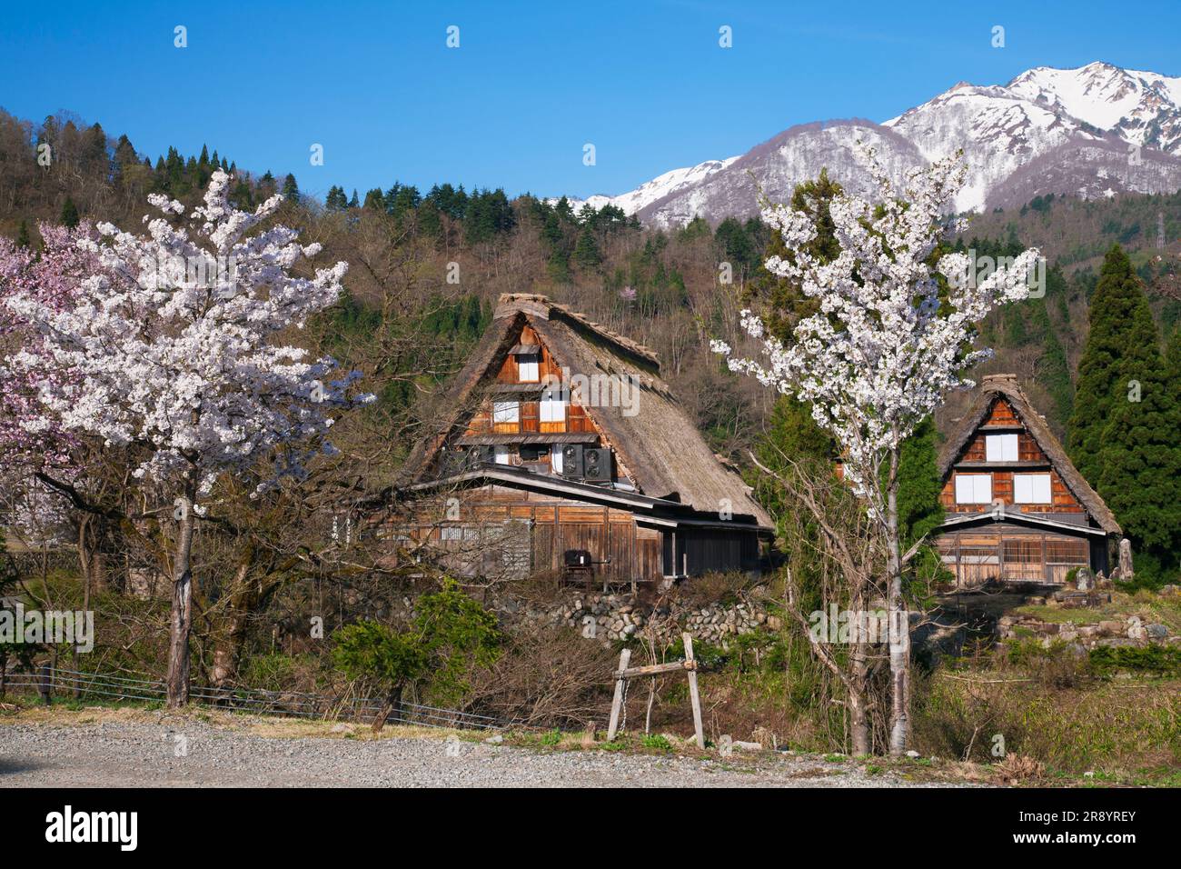 Village of the houses with steep rafter roof gassho village hi-res ...