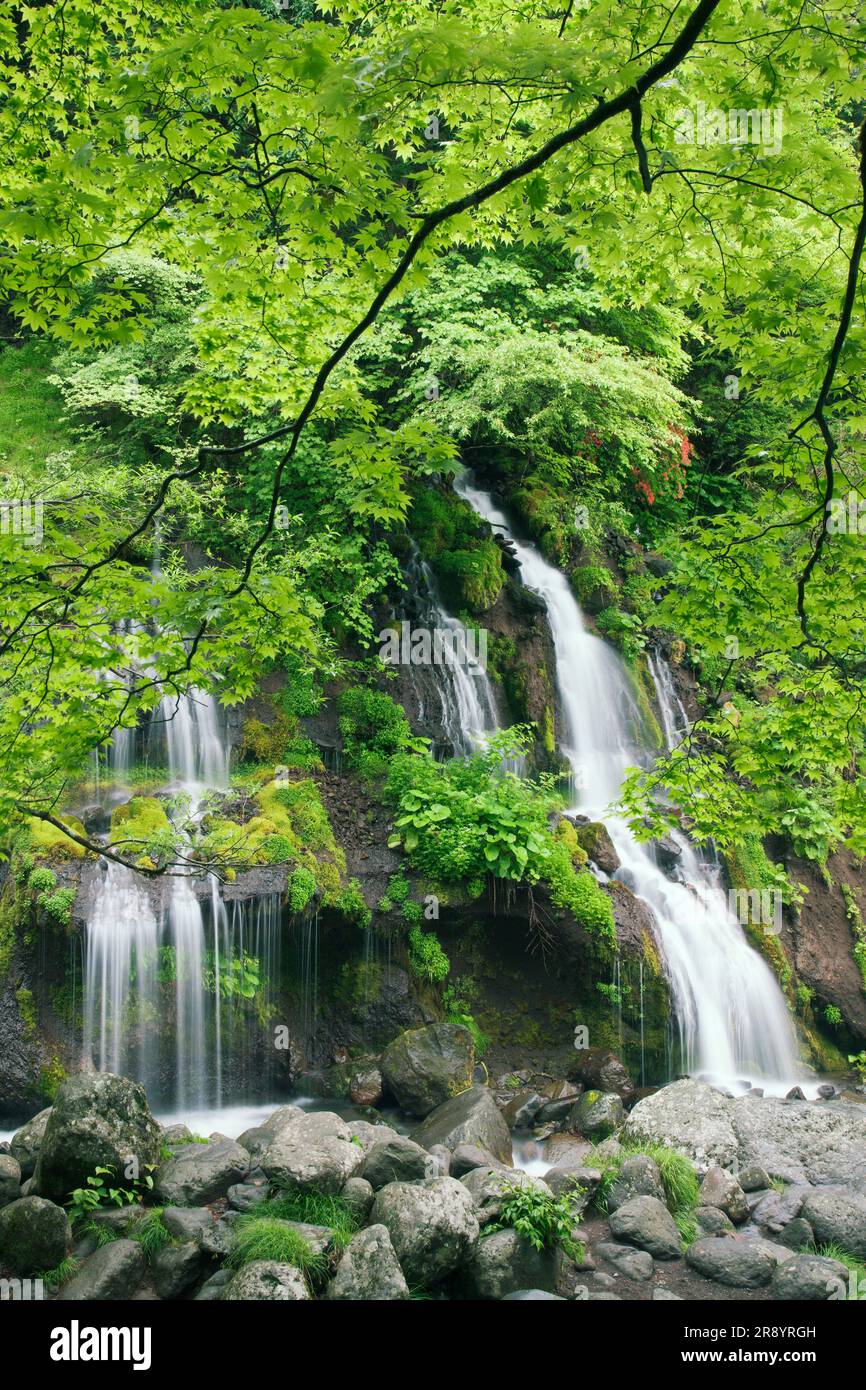 Doryuno waterfall hi-res stock photography and images - Alamy