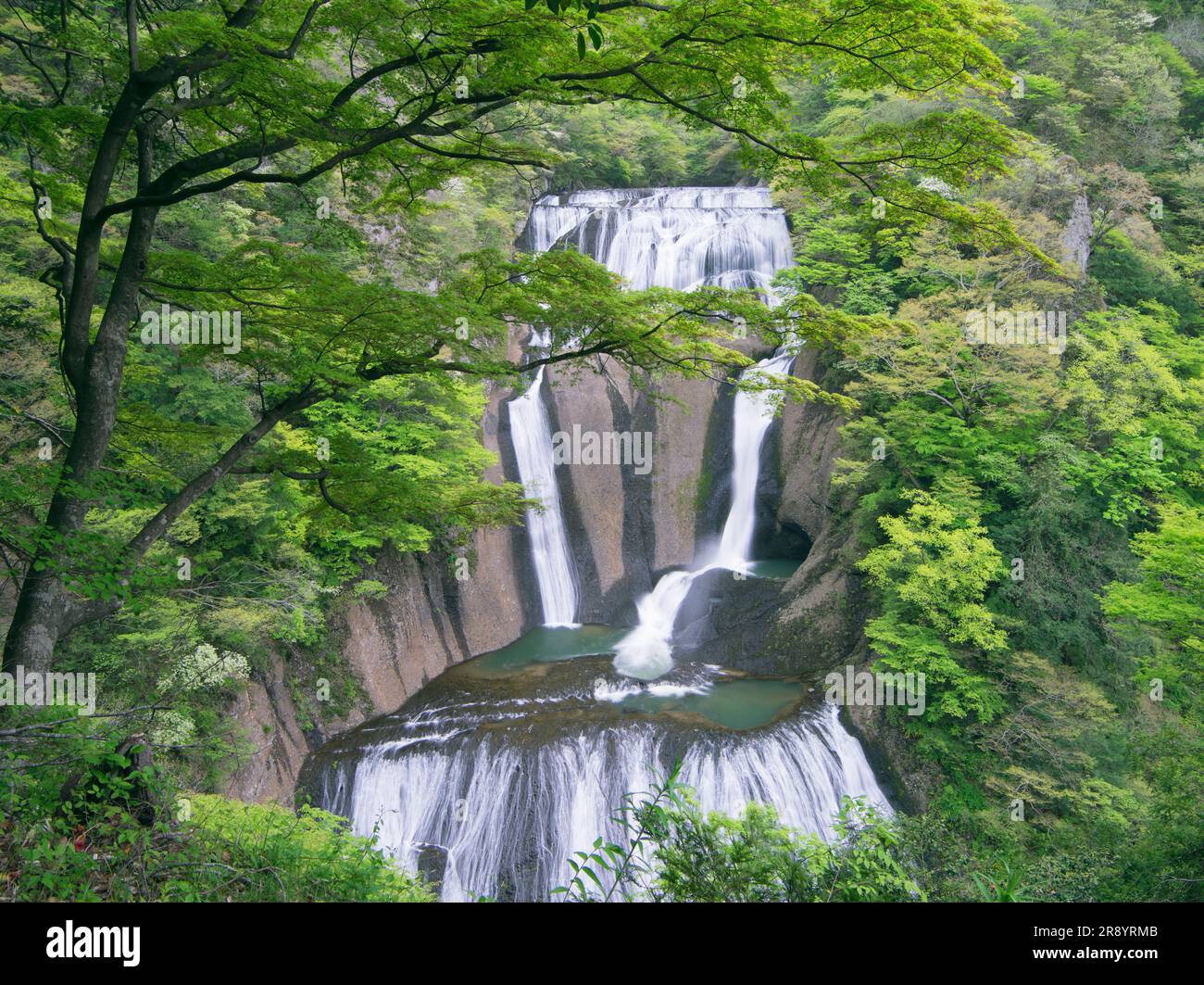 Fukuroda Falls in fresh green Stock Photo - Alamy
