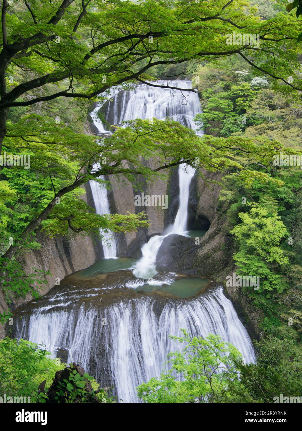 Fukuroda Falls in fresh green Stock Photo - Alamy