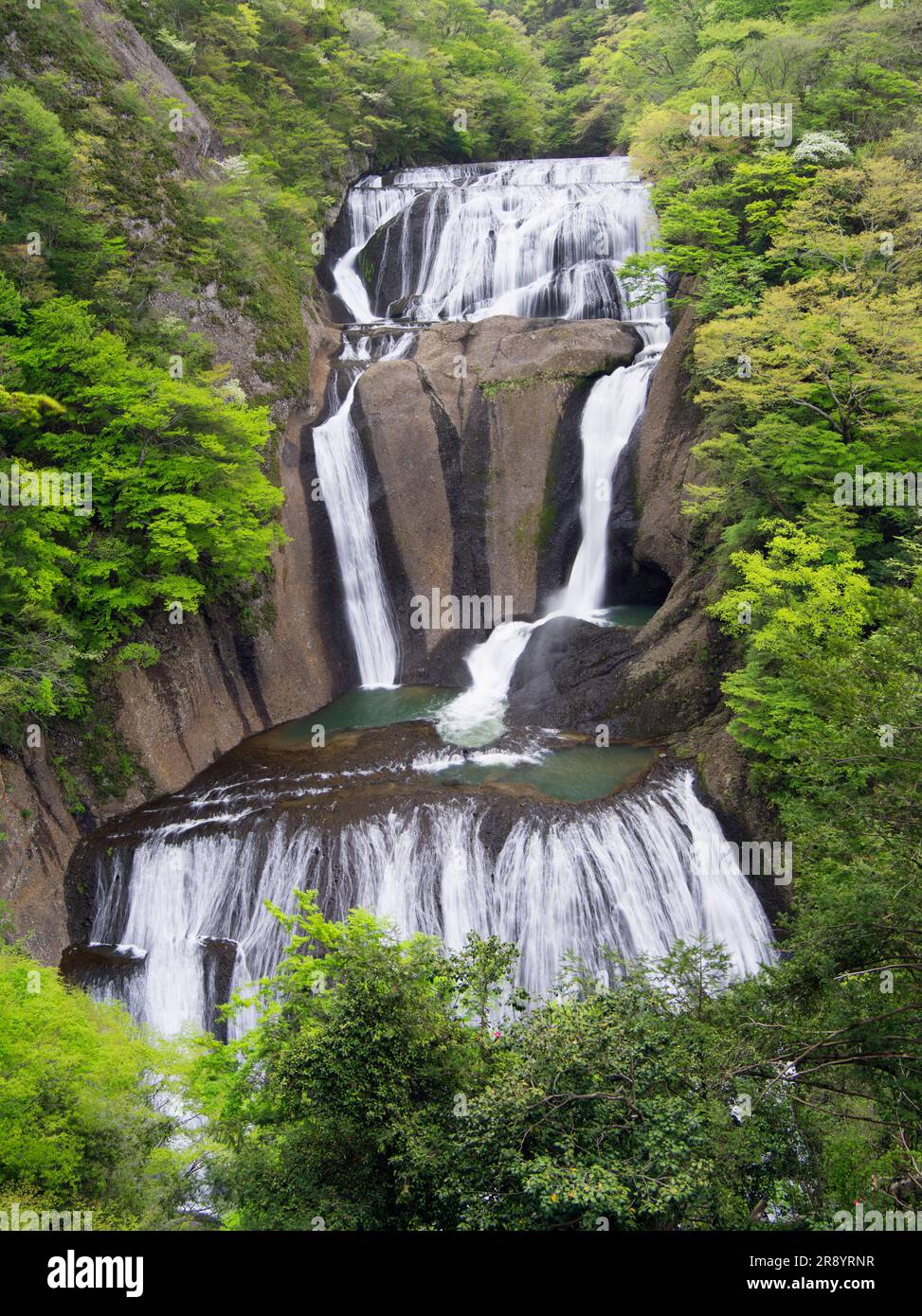 Fukuroda Falls in fresh green Stock Photo - Alamy
