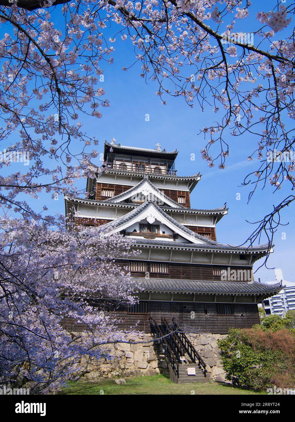 Cherry trees in hiroshima hi-res stock photography and images - Alamy