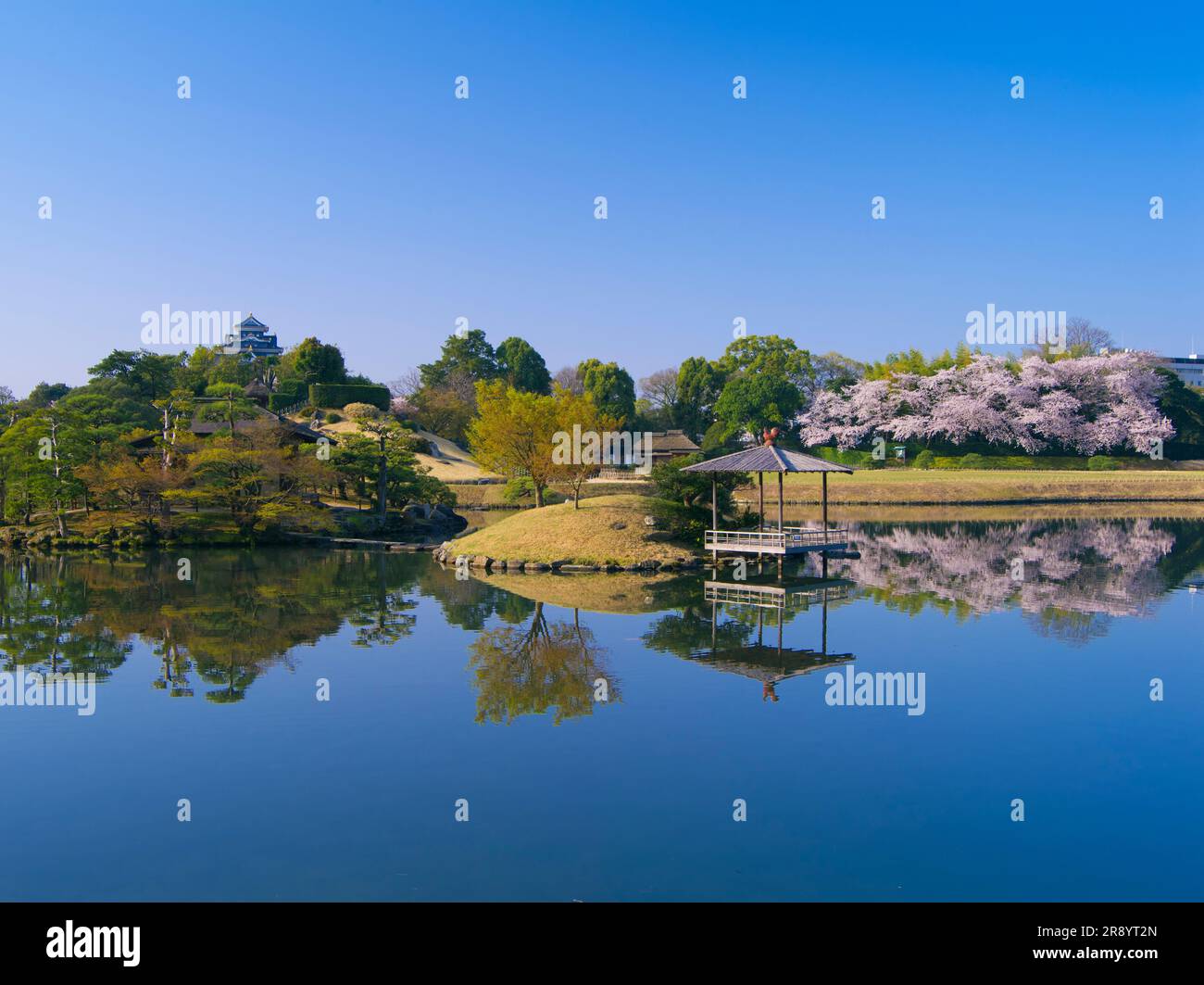 View of Okayama castle from Korakuen garden Stock Photo - Alamy