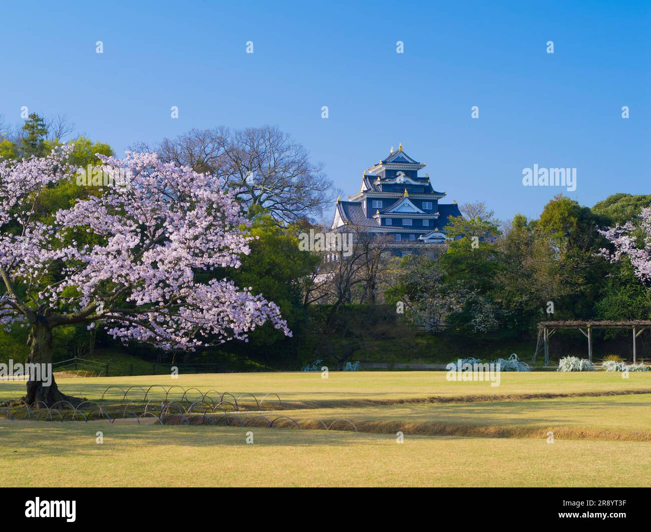 View of Okayama castle from Korakuen garden Stock Photo - Alamy