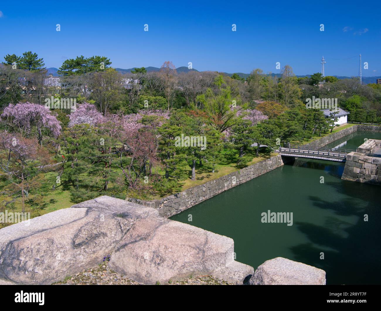 Weeping cherry blossoms and the view of Uchibori (inner moat) and ...
