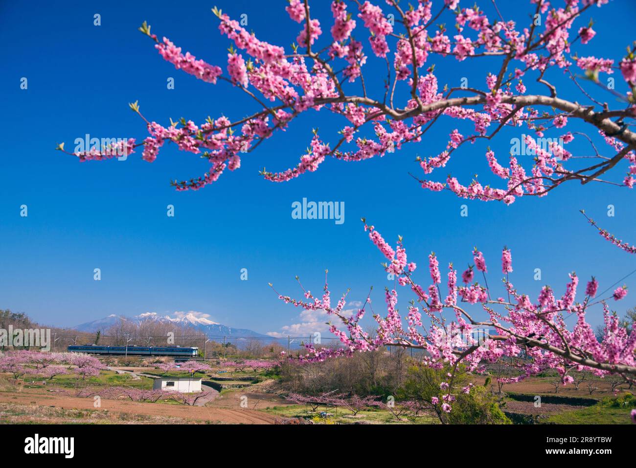Spectacular view of mount Yatsugatake , peach groves and Chuo main line ...