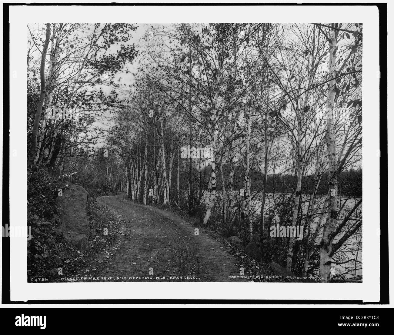 On the eleven mile drive near Ishpeming, Mich., birch drive, c1898 ...