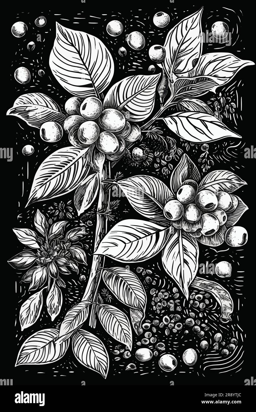 Vector set of coffee tree branches with flower, leaves and beans ...