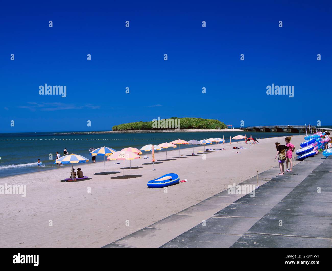 Tsingtao bathing beach and Tsingtao, Subtropical plants community in ...
