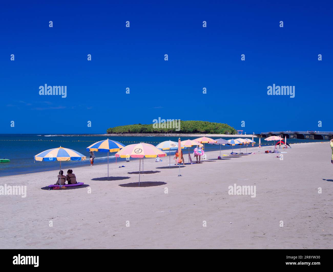 Tsingtao bathing beach and Tsingtao, Subtropical plants community in ...