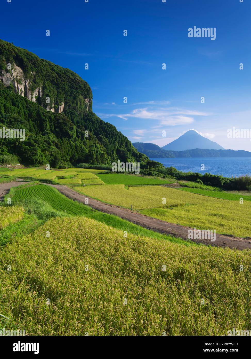 rice terraces of Shinnadayoshi and Lake Ikeda and Mt Kaimondake ...