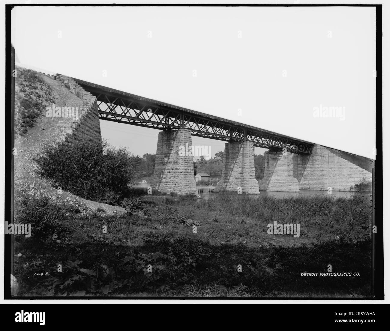 Root view Black and White Stock Photos & Images - Alamy