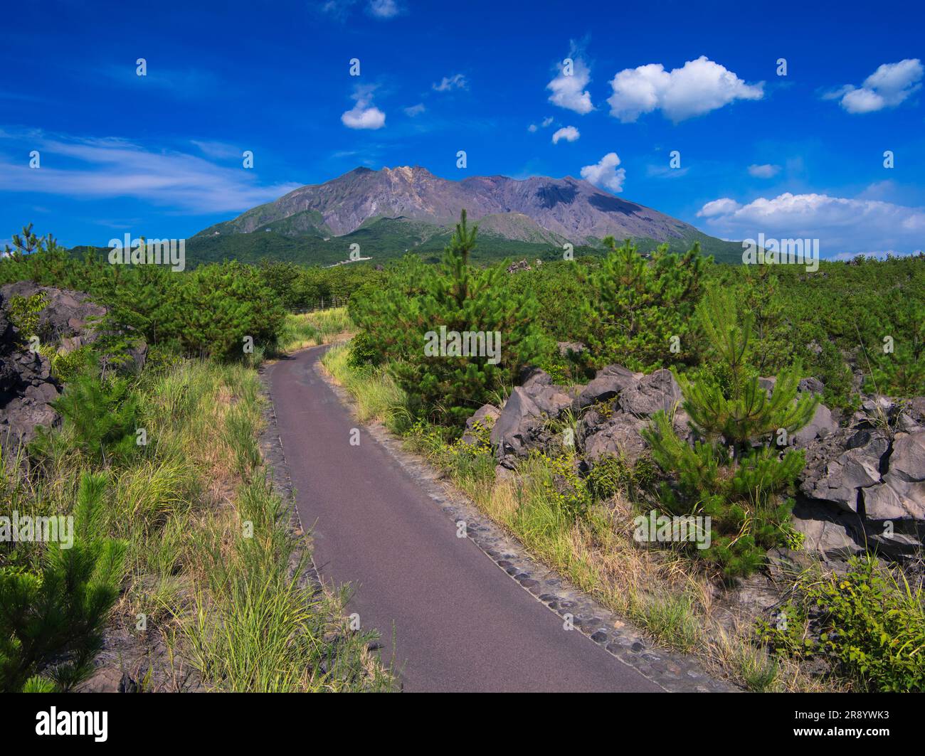 Sakurajima Lava Beach Promenade and Sakurajima Island Stock Photo - Alamy