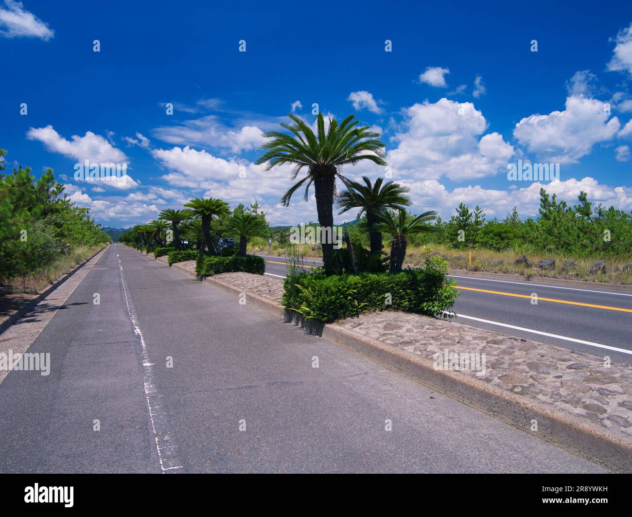Lava road, Sakurajima Stock Photo - Alamy