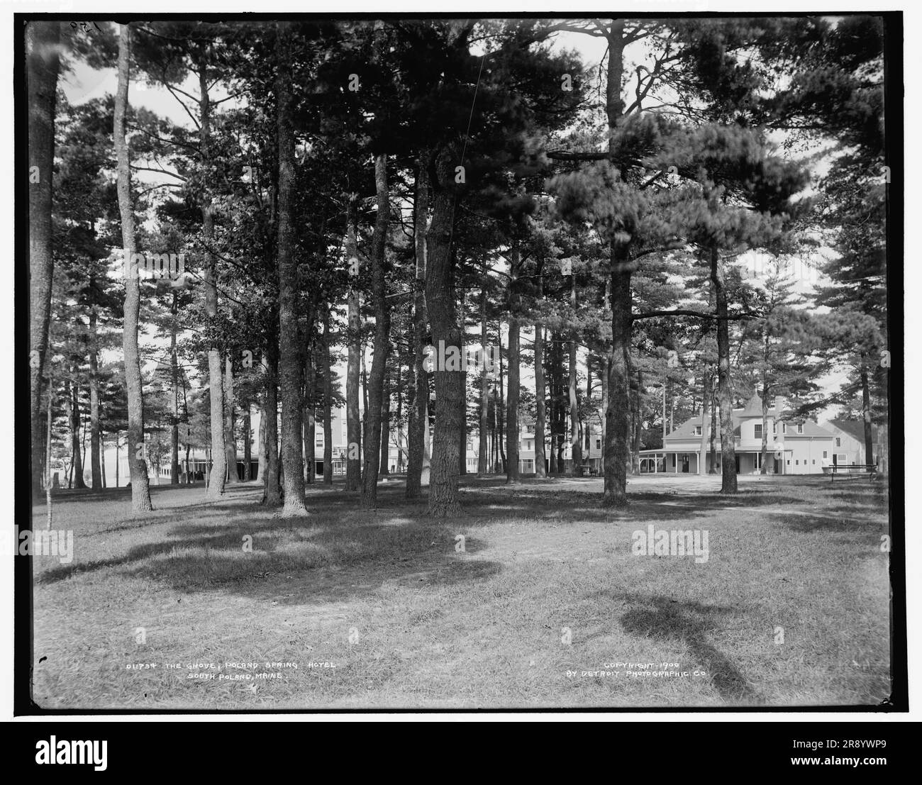 The Grove, Poland Spring Hotel, South Poland, Maine, c1900. The Poland ...