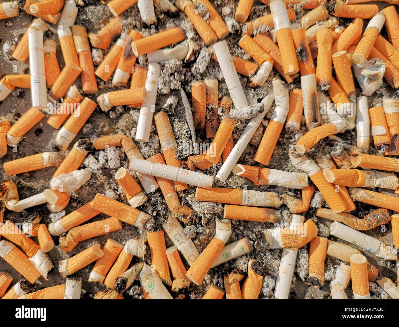 Cigarette Ash Pile
