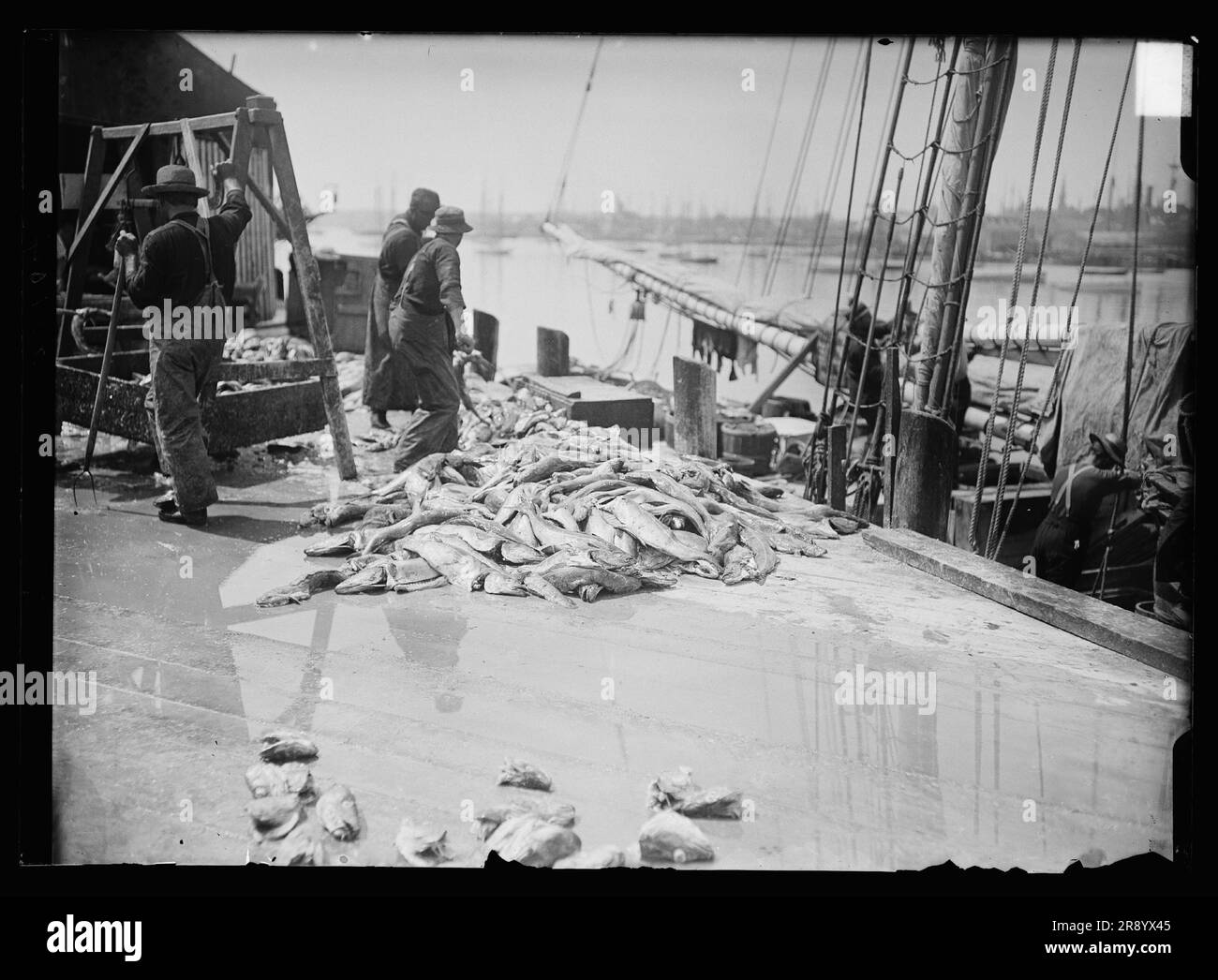 Slade gorton company hi-res stock photography and images - Alamy