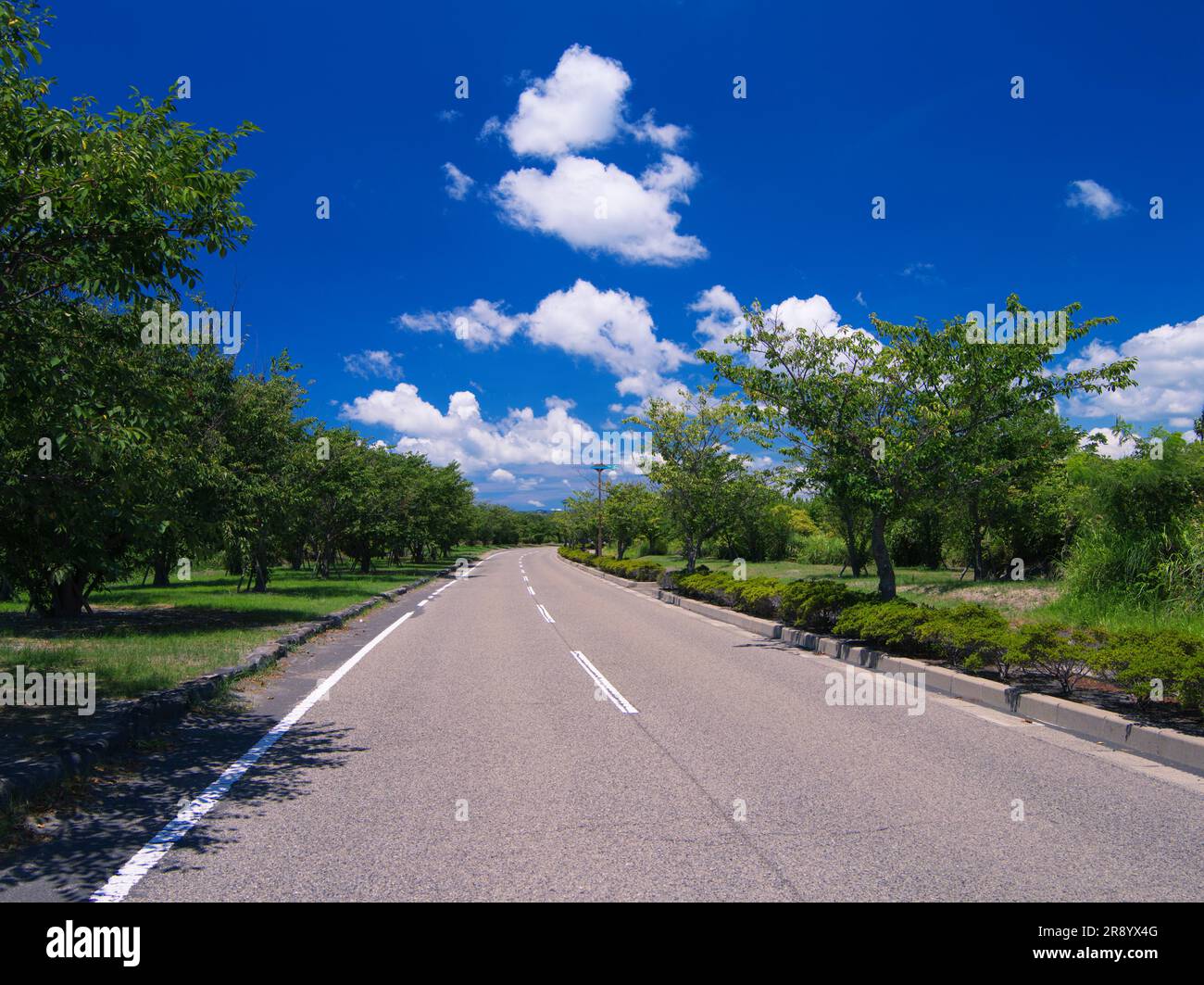 Super Magma Road, Sakurajima Stock Photo - Alamy
