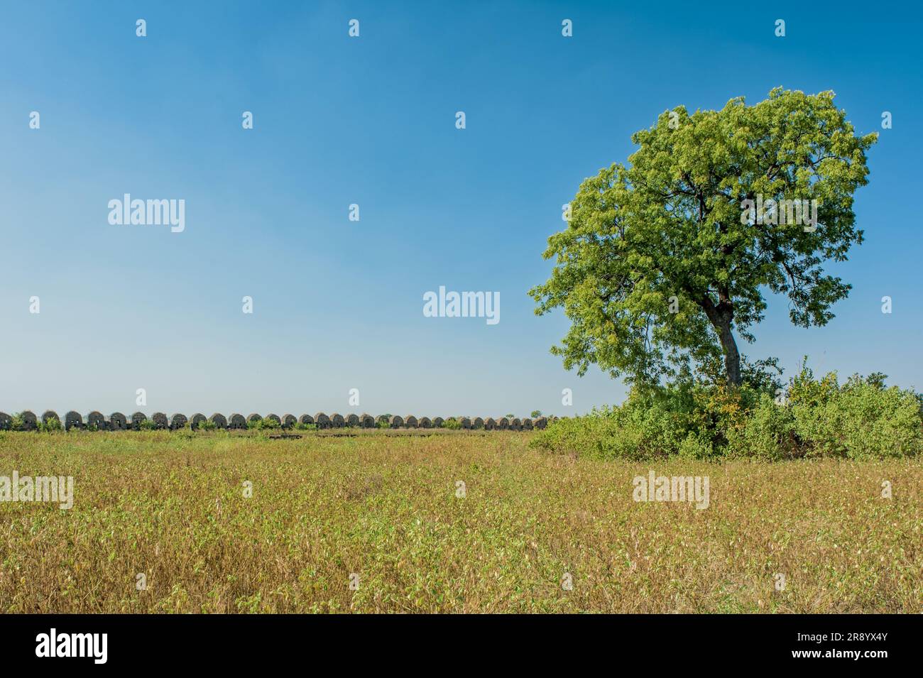 Basalt hill india hi-res stock photography and images - Alamy
