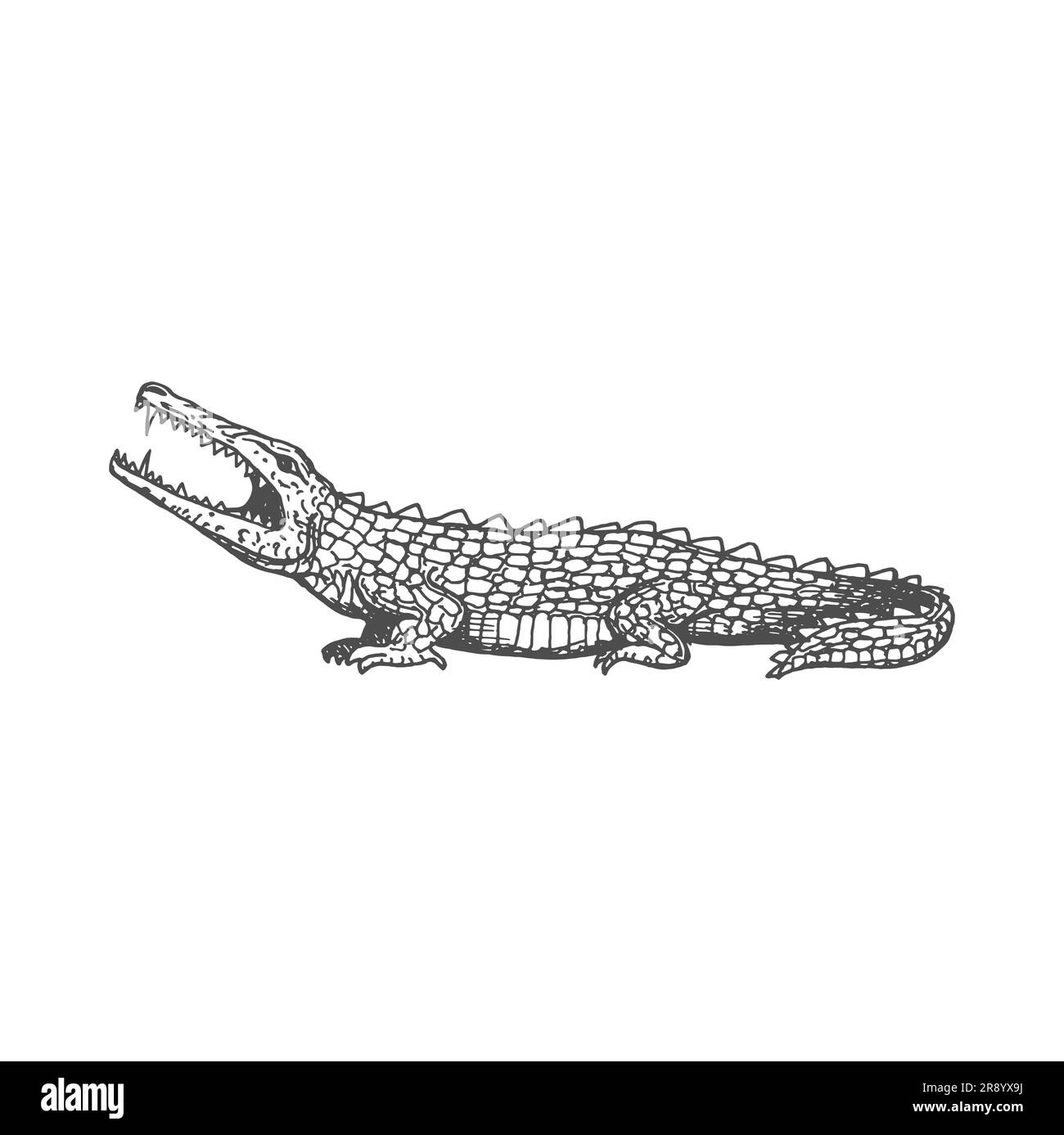 Alligator teeth sign Black and White Stock Photos & Images - Alamy