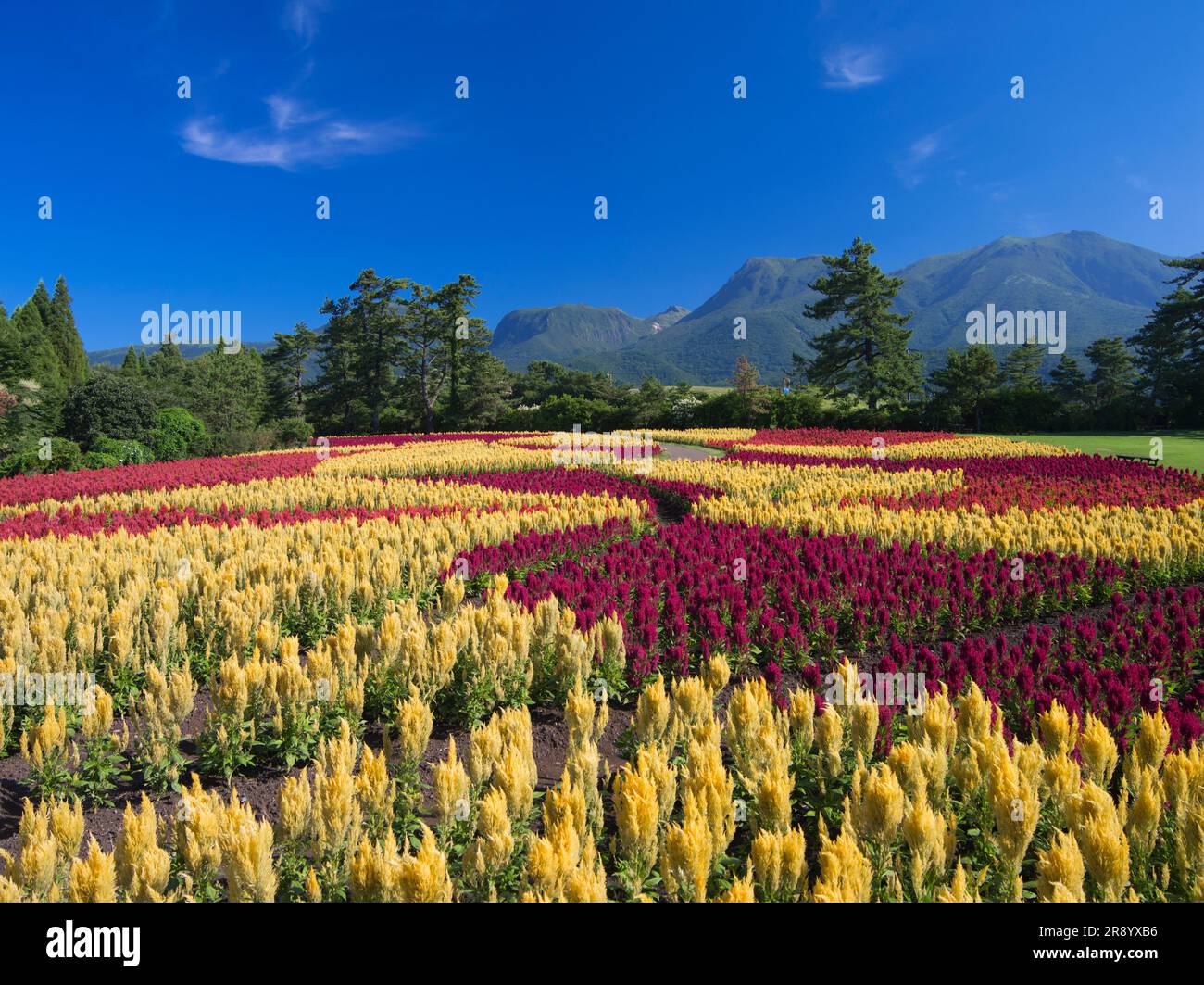 Aso kuju national park hi-res stock photography and images - Alamy