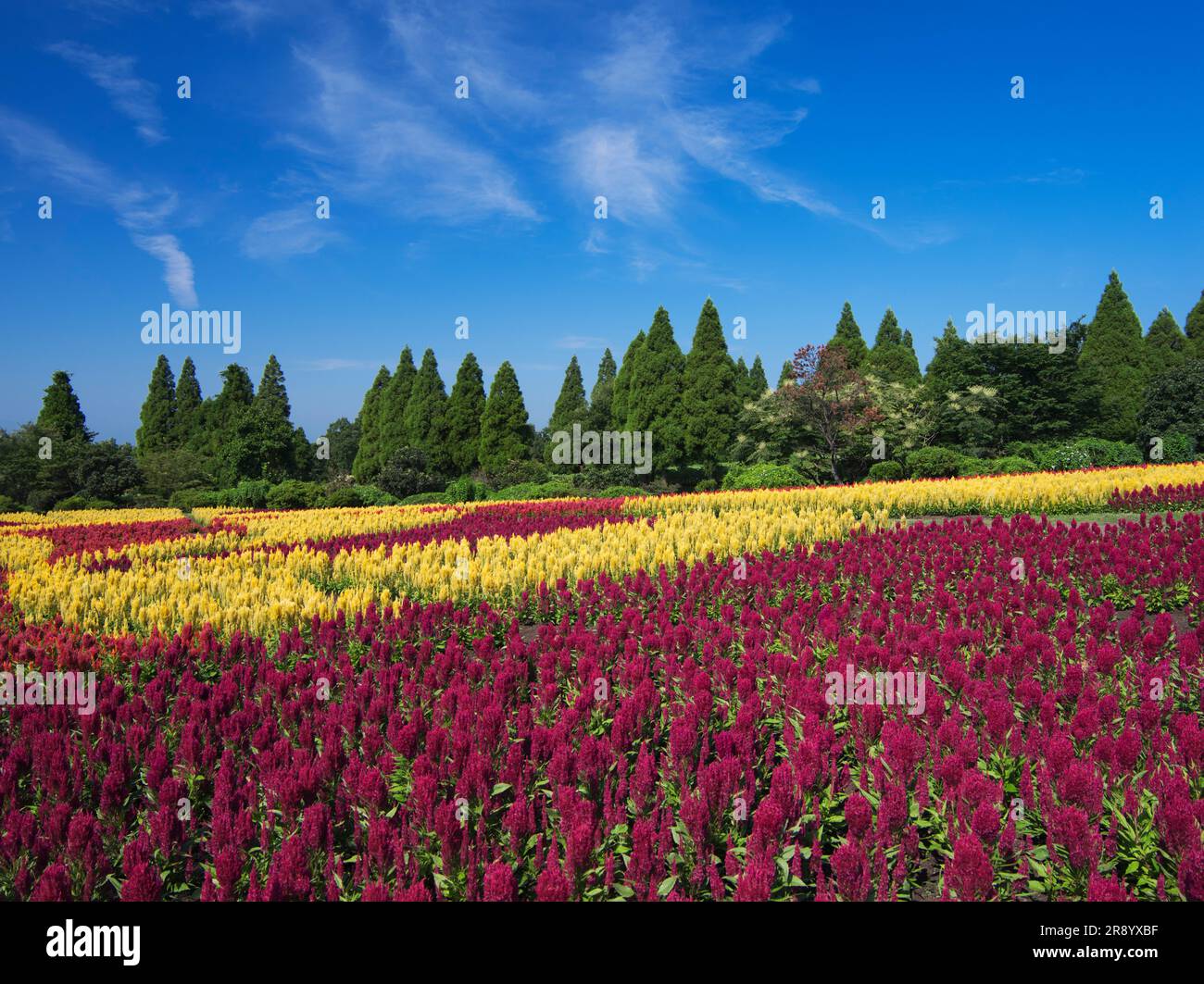 Kuju city hi-res stock photography and images - Alamy