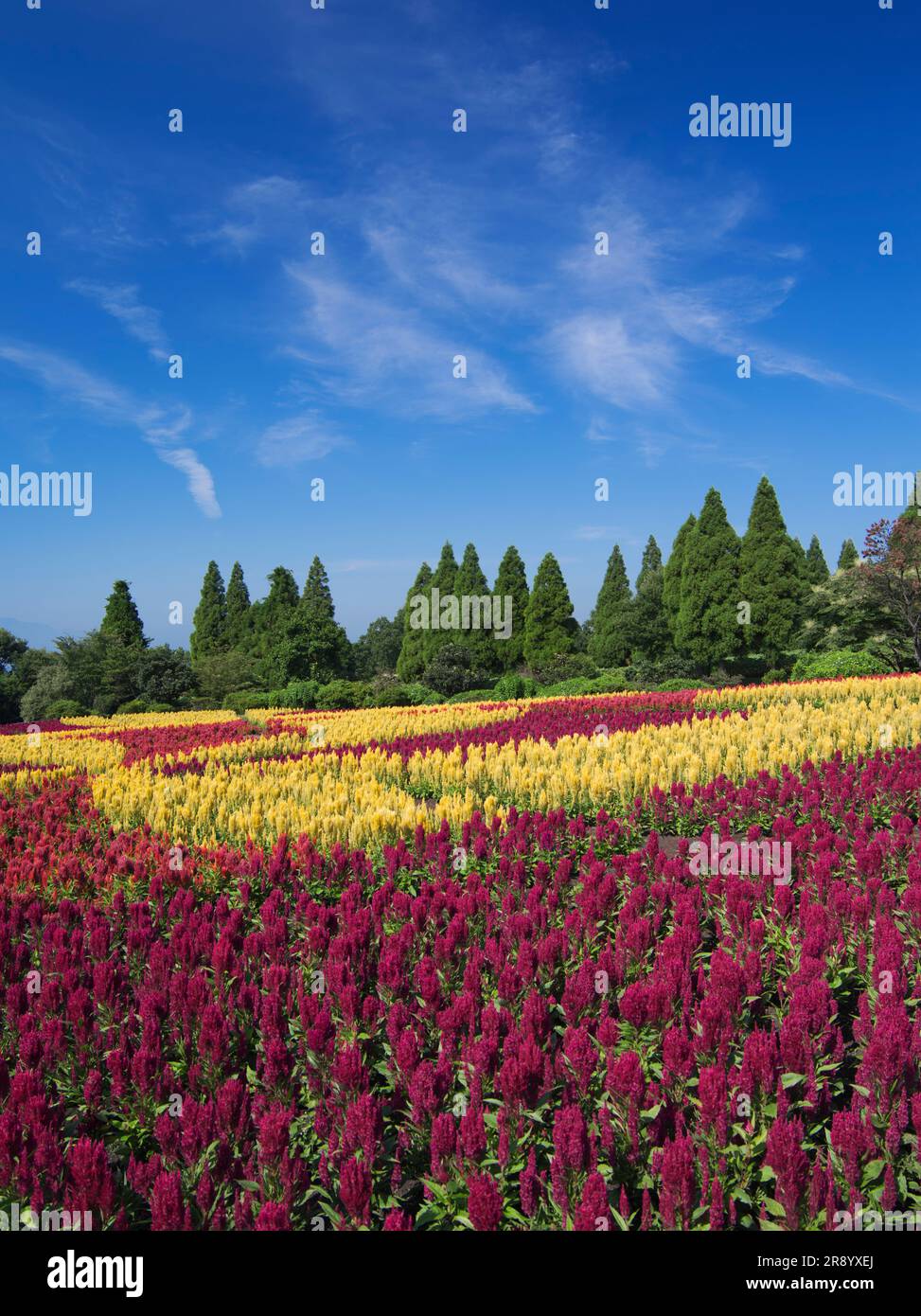Aso kuju national park hi-res stock photography and images - Alamy