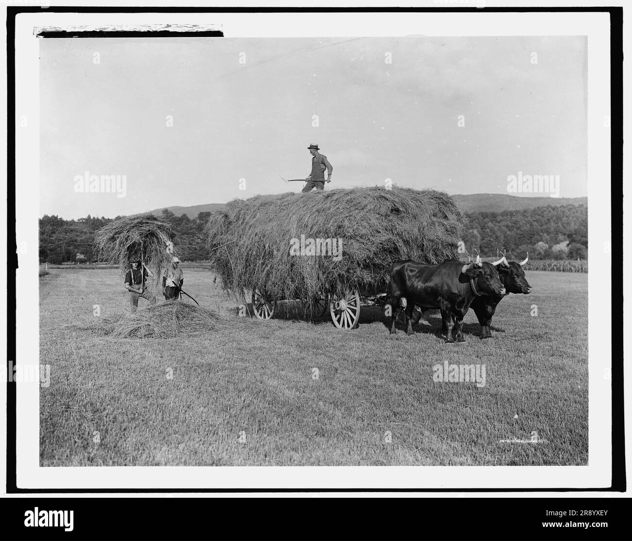 William meadows Black and White Stock Photos & Images - Alamy