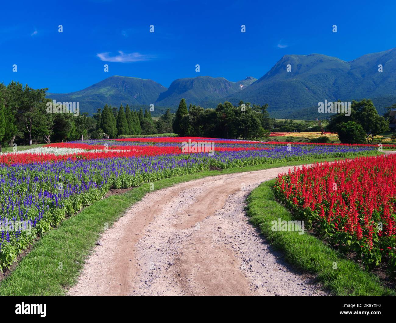 Kuju mountain range hi-res stock photography and images - Alamy