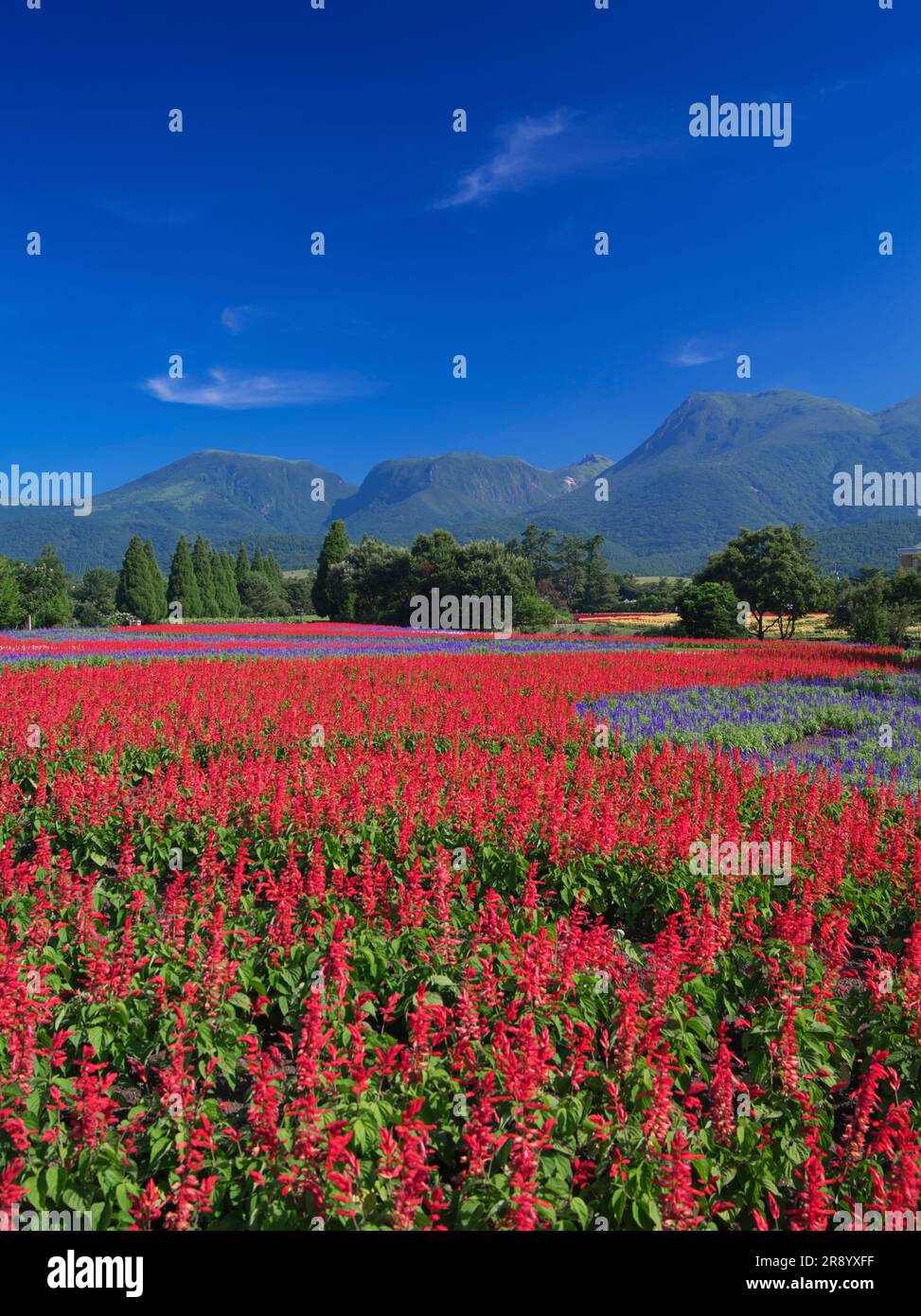 Kuju mountain hi-res stock photography and images - Alamy
