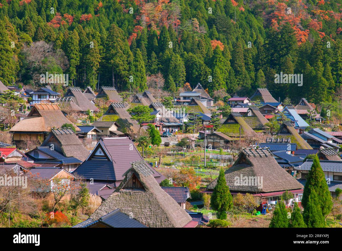 Kayabuki no sato kitamura hi-res stock photography and images - Alamy