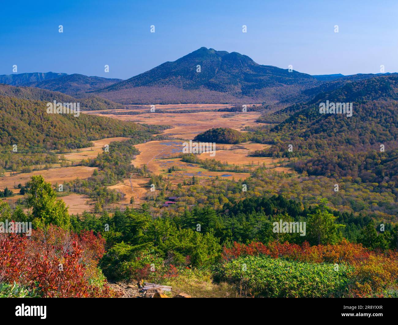 The autumn colors from Mount Shibutsusan, Ozegahara, and Mount ...