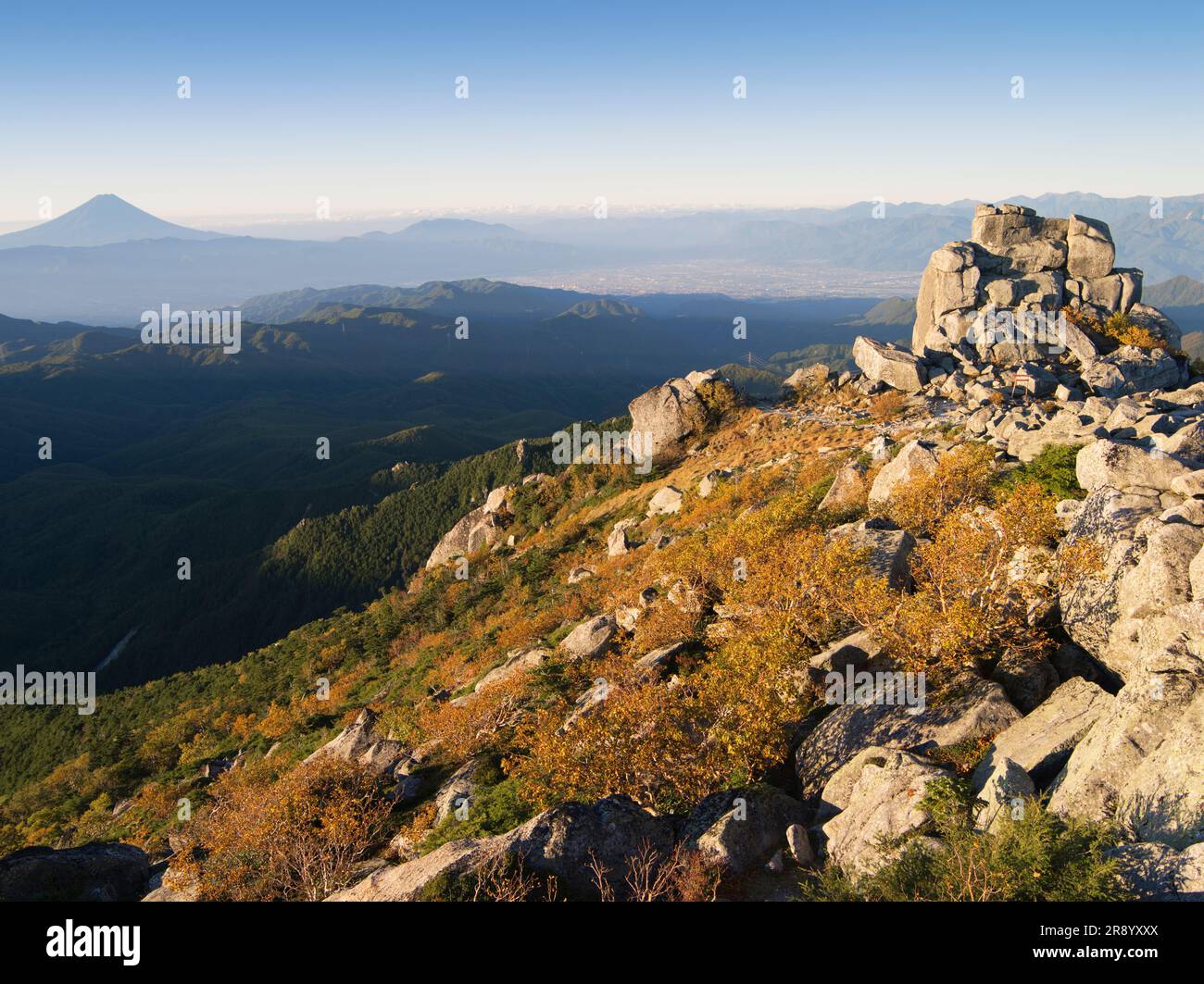 A morning view of the yellow leaves of Gotakeiwa and Mount Fuji on ...