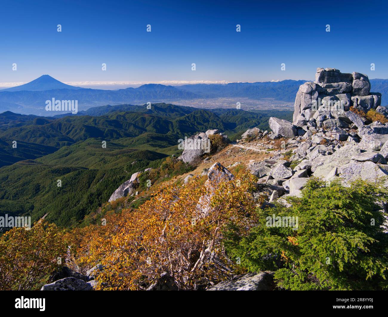 The yellow leaves of Gotakeiwa and Mount Fuji on Mount Kinpusan in the ...