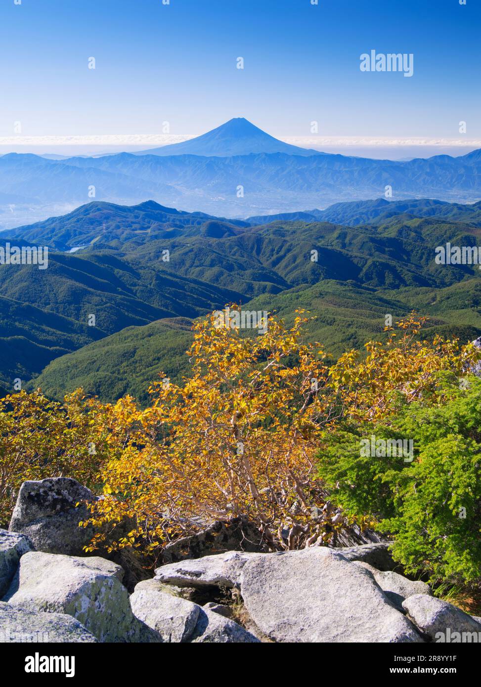 Mt.Kinpusan with yellow leaves and Mt.Fuji Okuchichibu Mountains Stock ...
